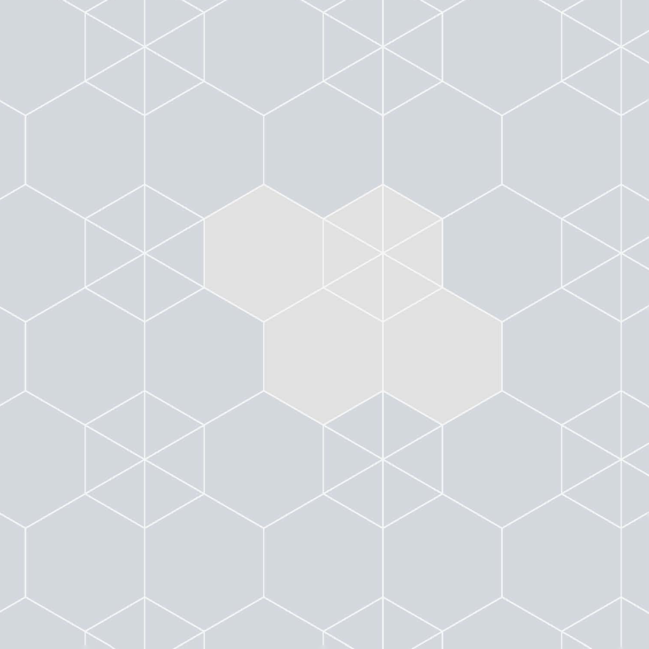 Hexagon Pattern Tile | By Collection | Maison Surface USA