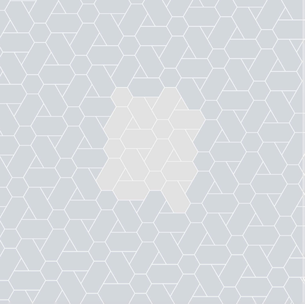 Hexagon Pattern Tile | By Collection | Maison Surface USA