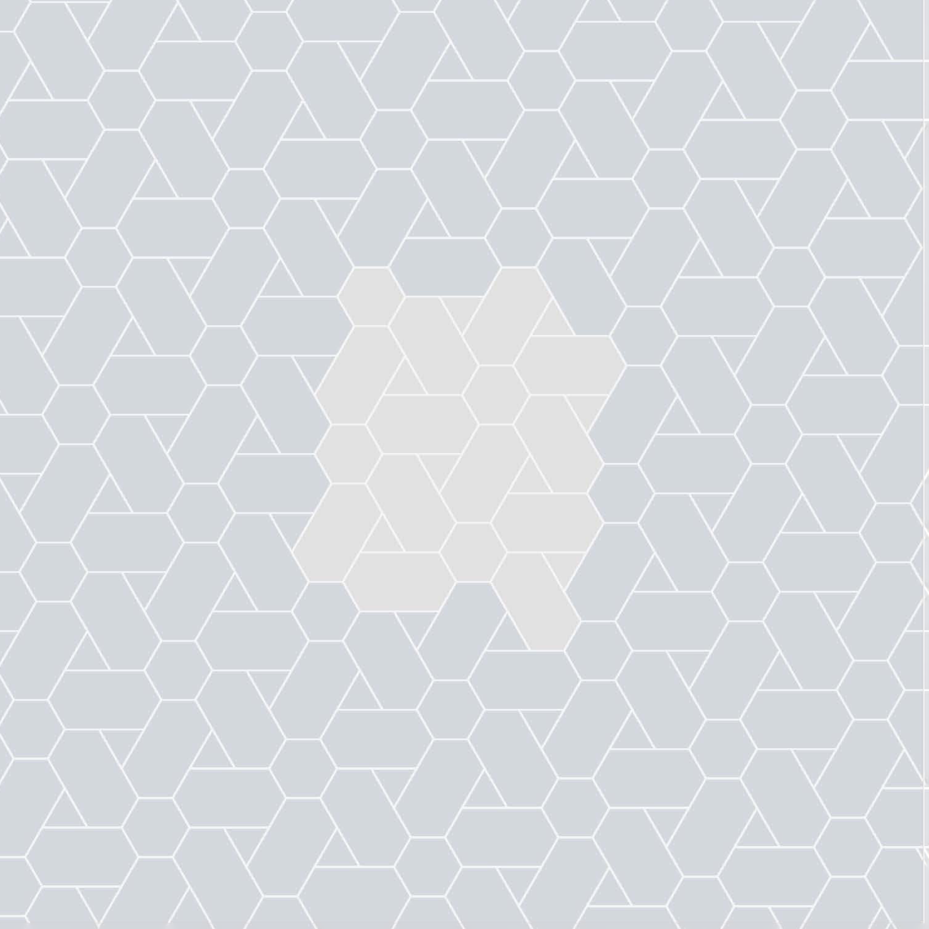 Hexagon Pattern Tile | By Collection | Maison Surface USA